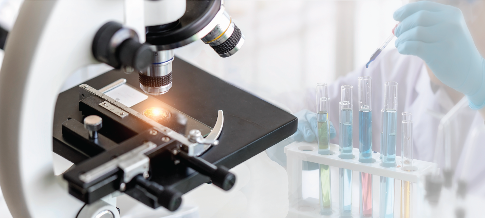 WAKAMONO - A global leader in Nanobiotech research